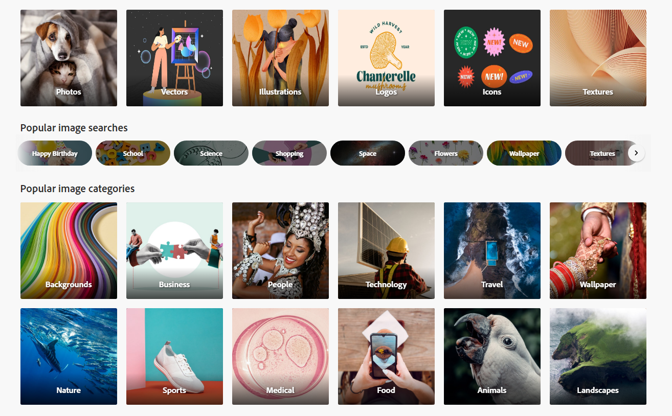 Adobe Stock Review 2024: Pros, Cons, and Features Revealed - Creative vault