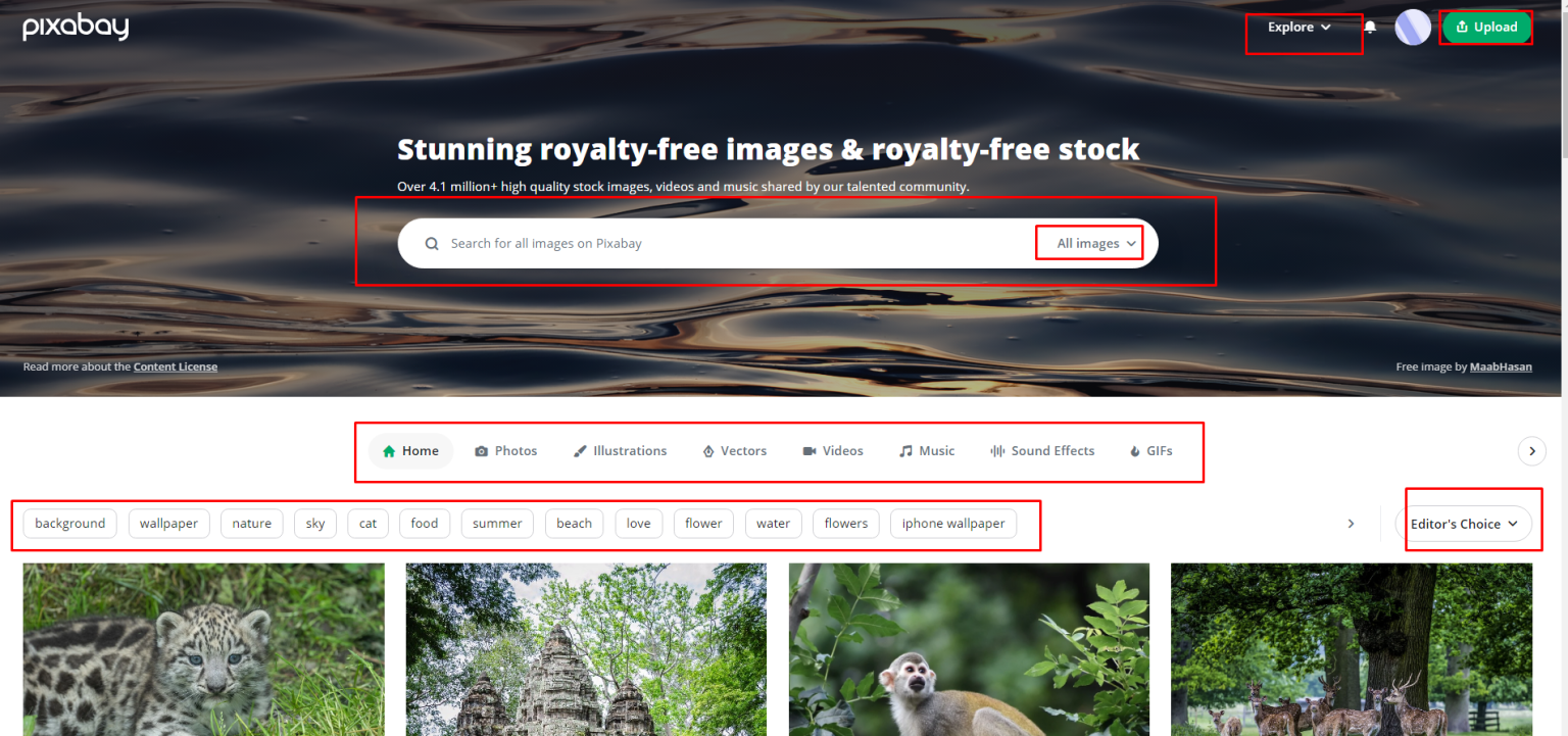 Pixabay Review 2024- Copyright Free Images Without Worries? - Creative ...