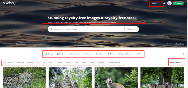Pixabay Review 2024- Copyright Free Images Without Worries? - Creative ...