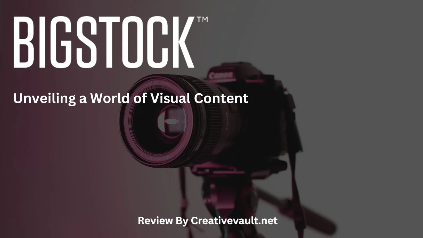 Bigstock Review 2024: Unveiling a World of Visual Content - Creative vault