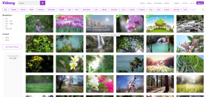 Videezy Review 2024: Unveiling Features and Performance - Creative vault